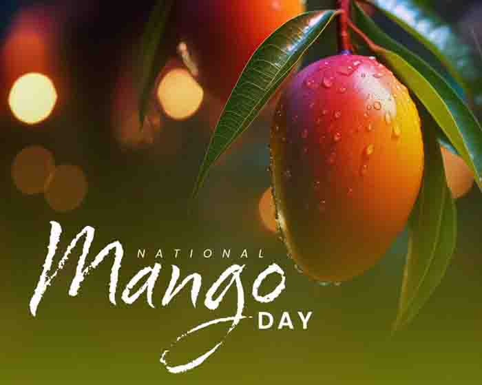 National Mango Day: Gujarat exported 689.5 tonnes of king of fruits in ...